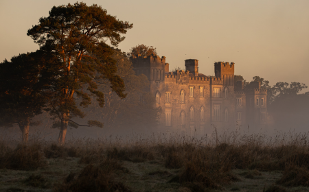 Home [www.tourismireland.com]